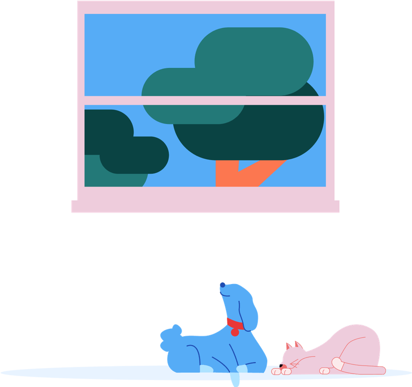 Veterinary engagement and communication platform | PetsApp