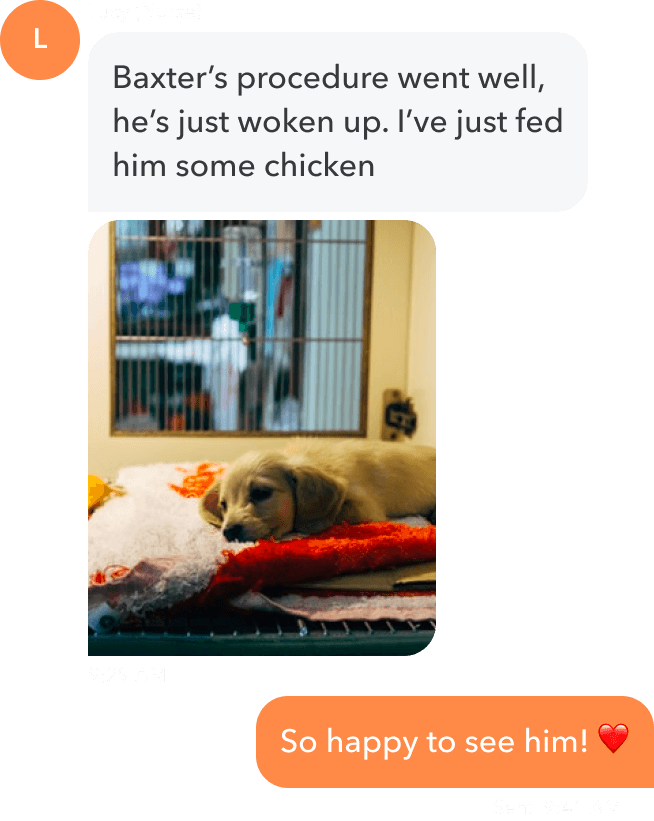 Veterinary client communication with PetsApp
